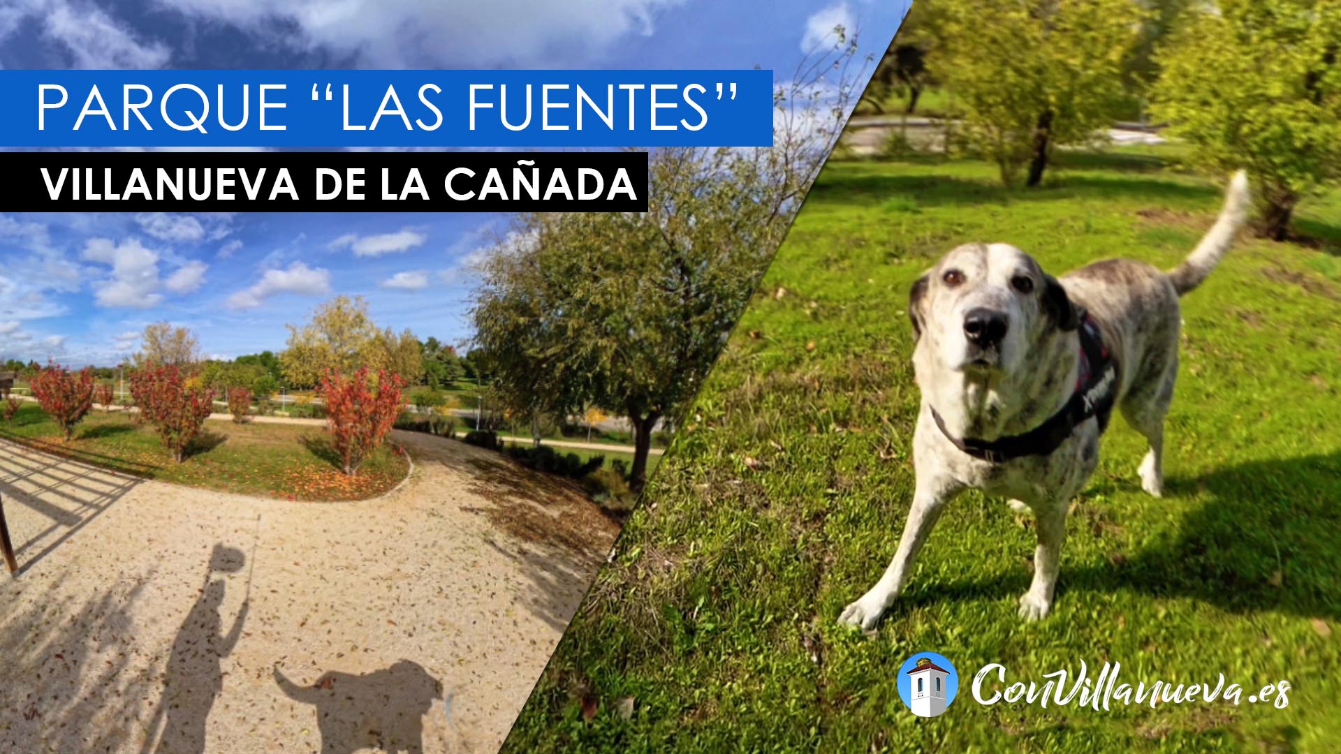 Descubre el parque "Las Fuentes" Perfecto para perretes